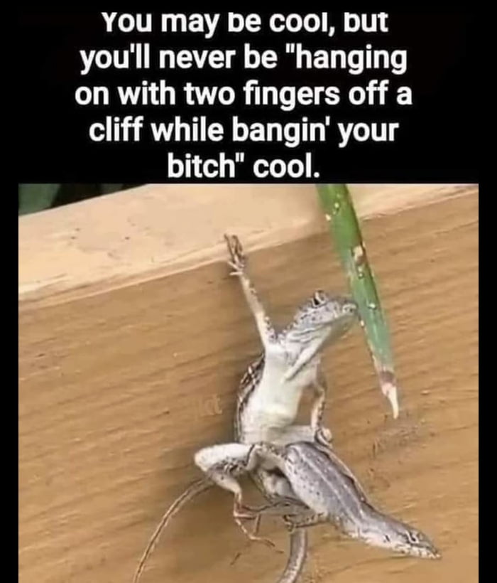 Yes segs… i do it all the time - 9GAG