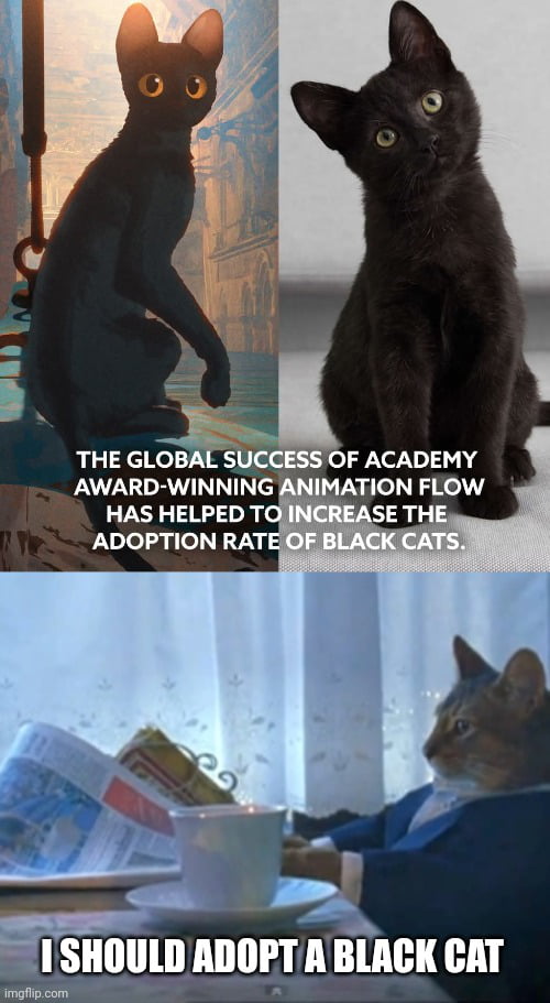 Press F to meow - 9GAG