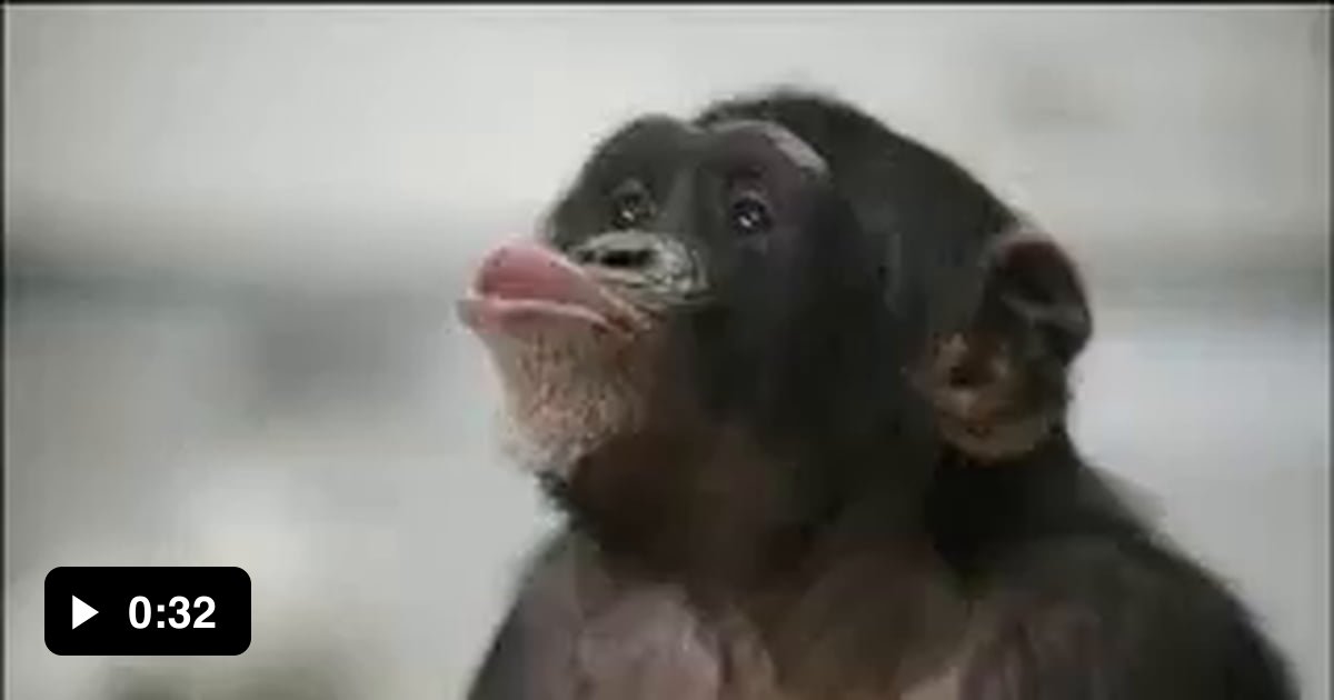 Make the old meme rise again - 9GAG