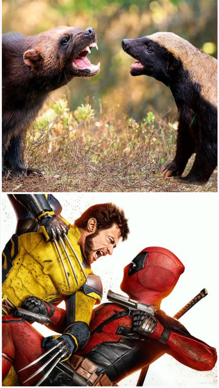 Sequel... I guess - 9GAG