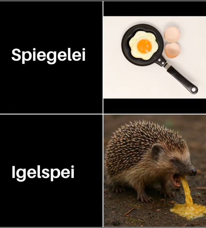 Ei Ei Ei 9gag 3635