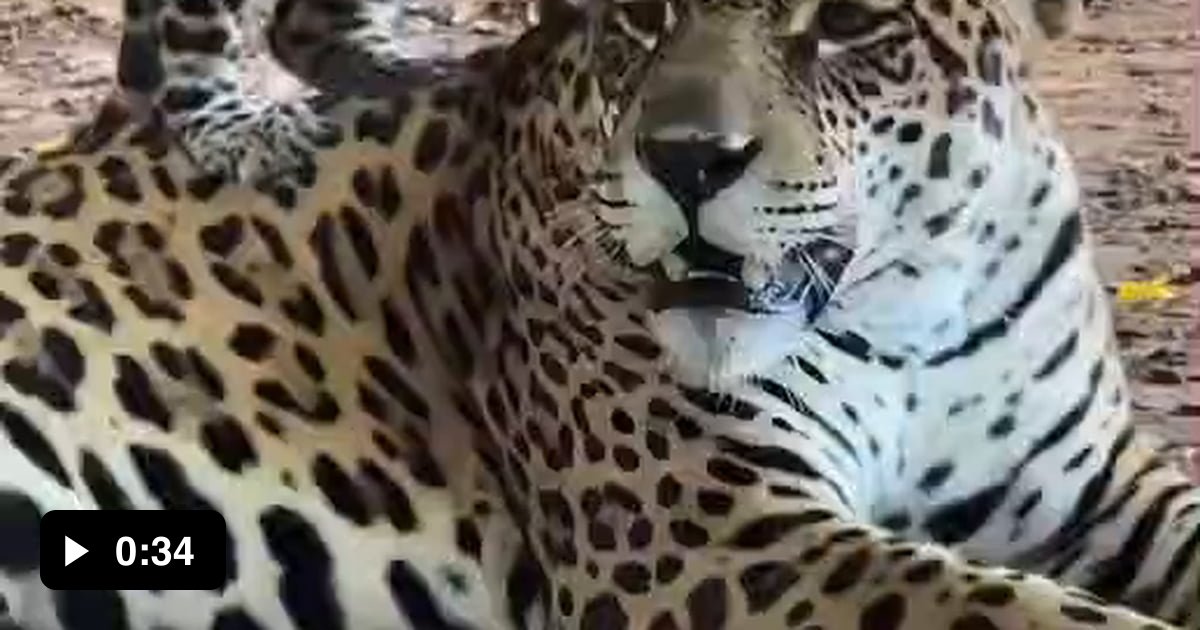 A patient mama - 9GAG