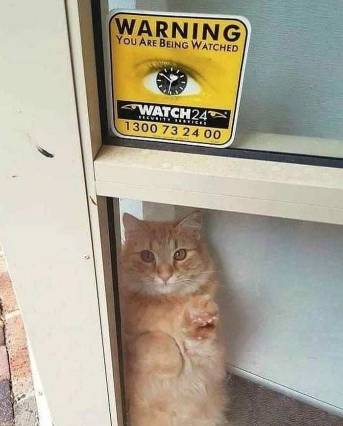 Security Guard - 9GAG