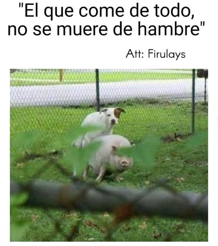 El que perdona murió en la cruz - 9GAG