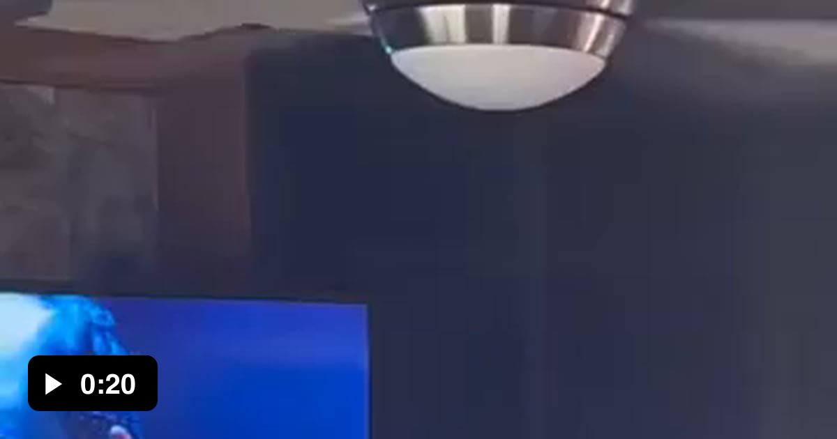 Snake crawls in through a hole and goes on the ceiling fan - 9GAG