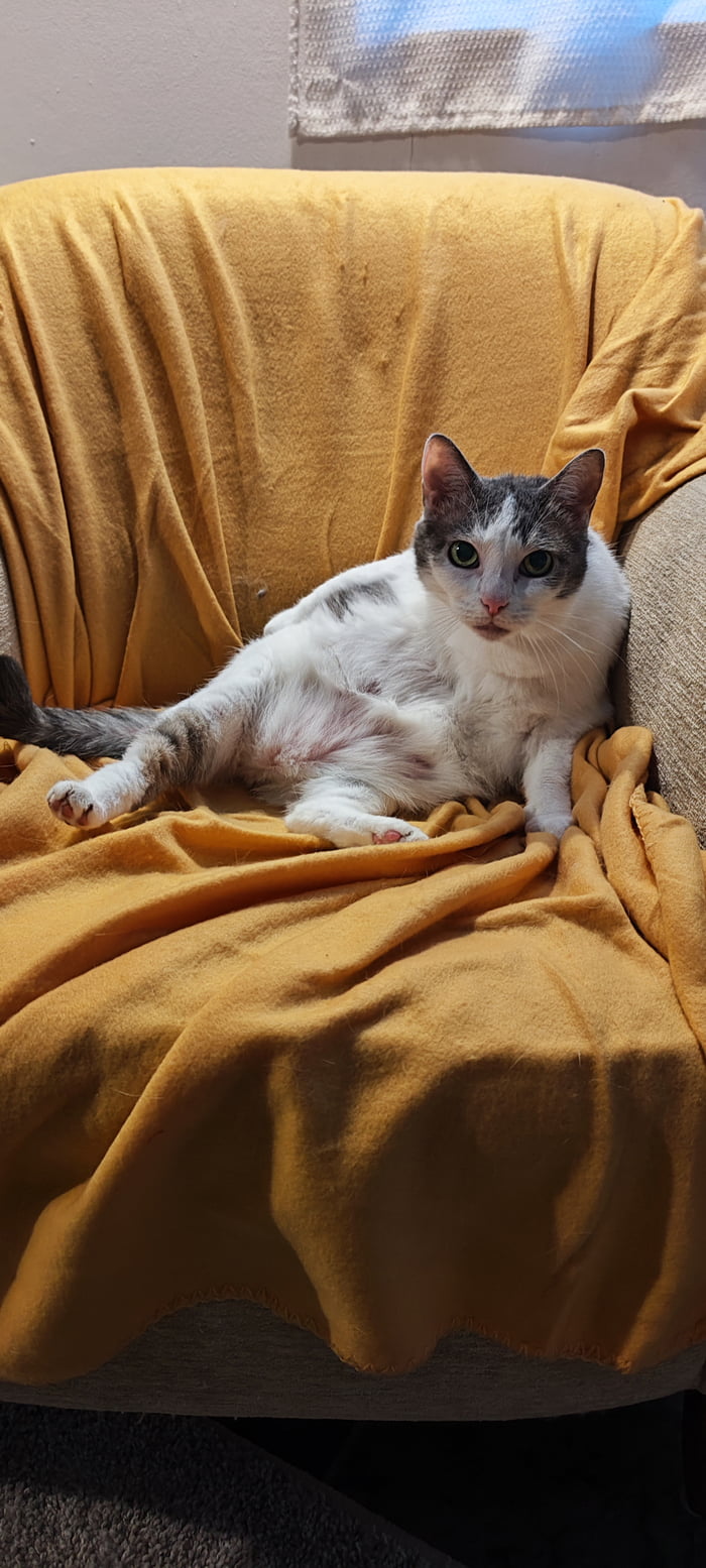 My Fatty Mici 9gag