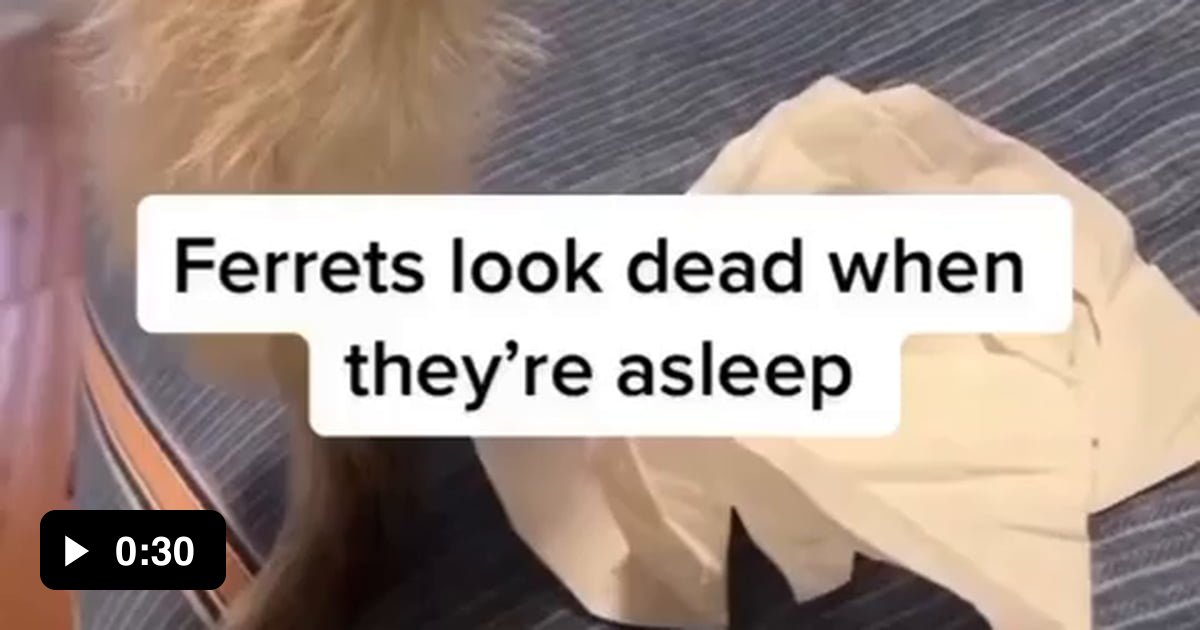 The double take was so fkn human - 9GAG