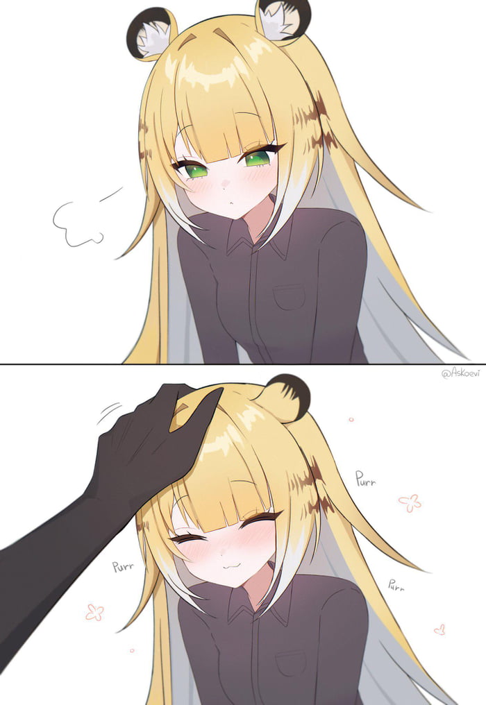 Getting the best head pats - 9GAG