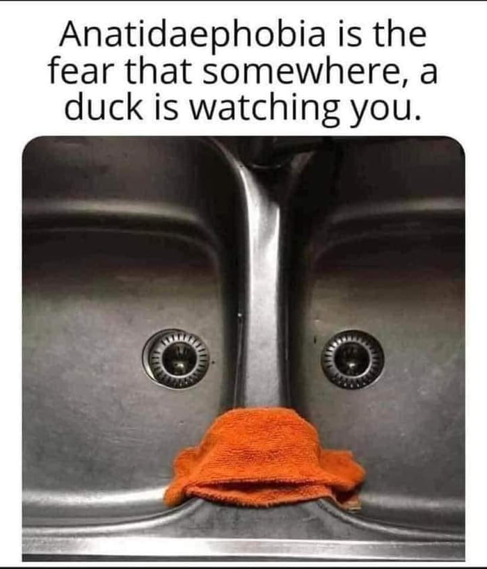 Just checking if any ducks are around. You never know. - 9GAG