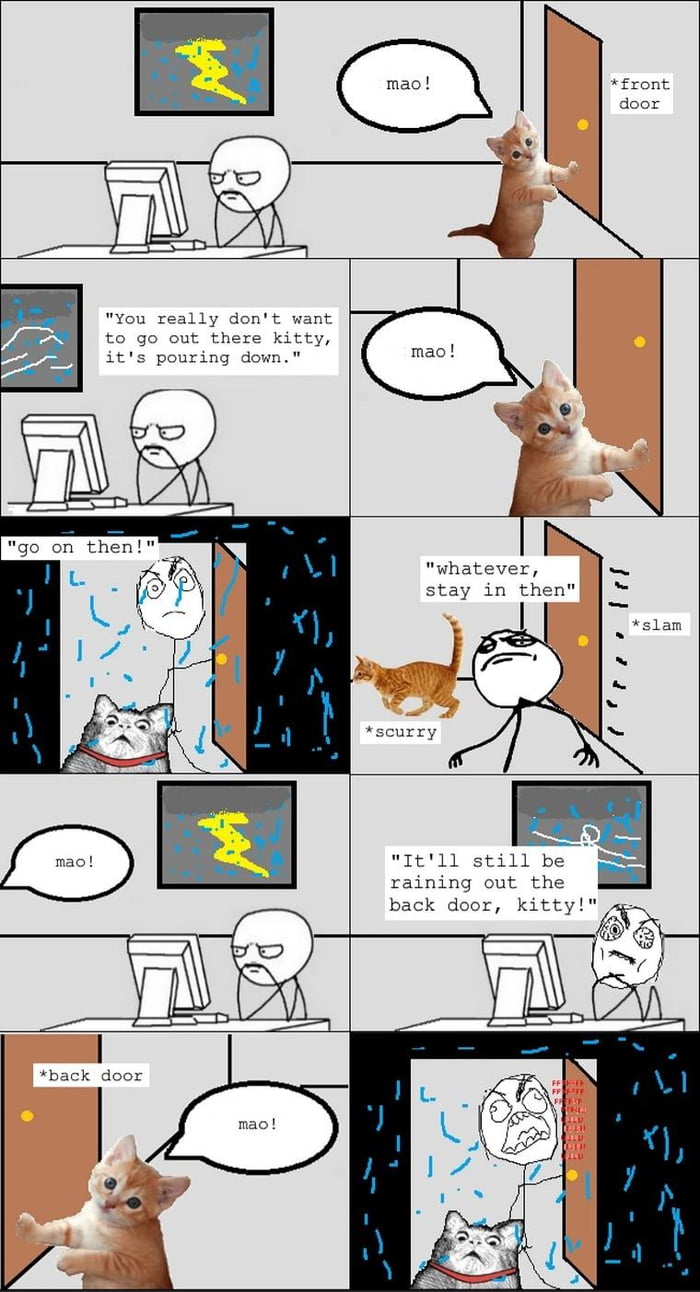 Cat rage - 9GAG