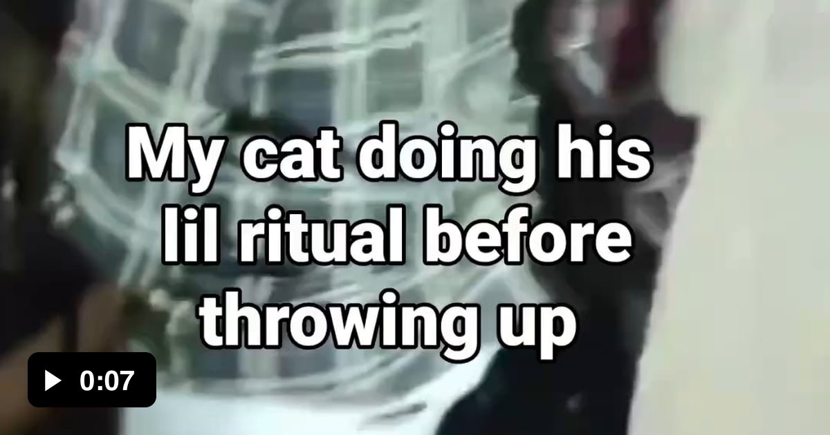 My kitty is purrfect - 9GAG