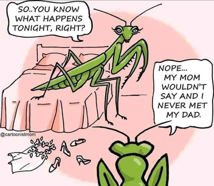 Bro is about to do both - 9GAG