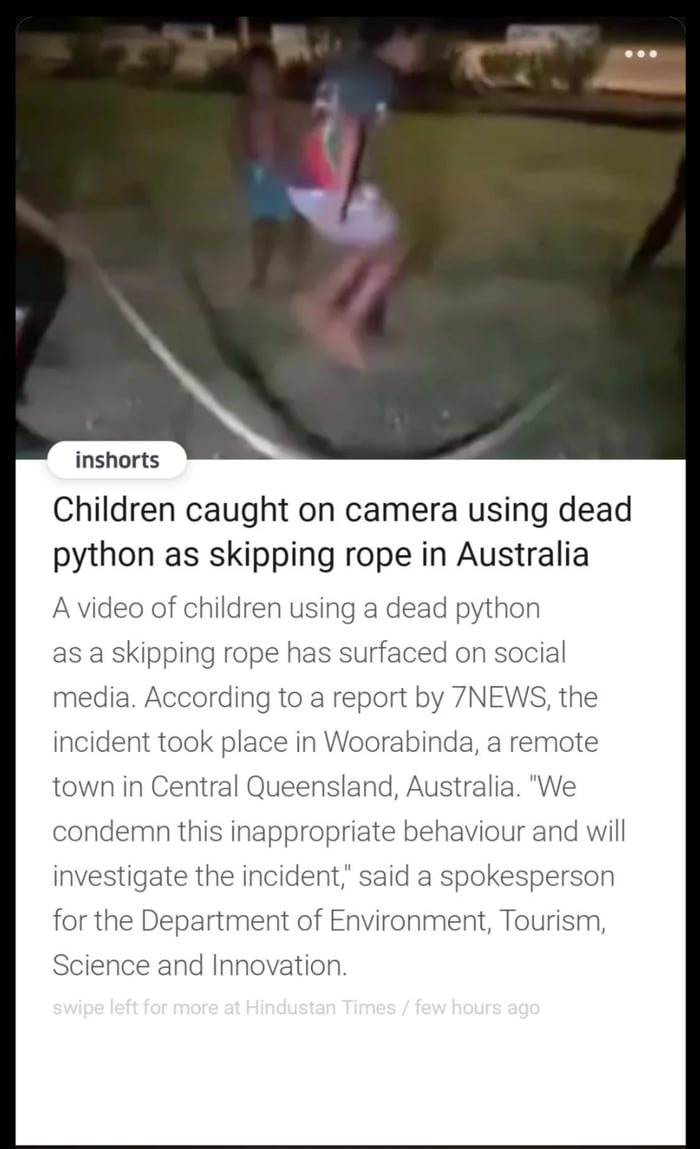 Gimmy and his gang, the python killers, also known as "avarage ...