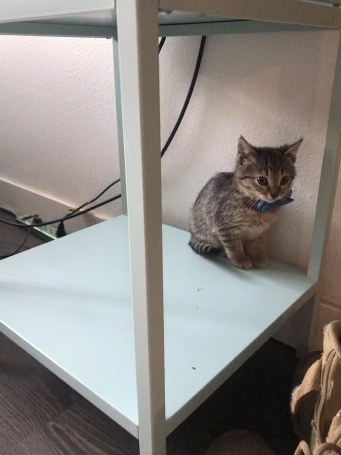 Goofy Lookin Dude - 9GAG