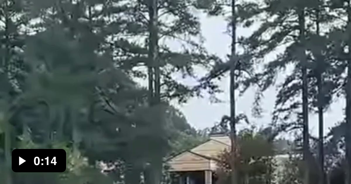 Her parents must not be home - 9GAG