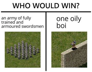 Posting random Stronghold memes until I run out or get bored #11 - 9GAG