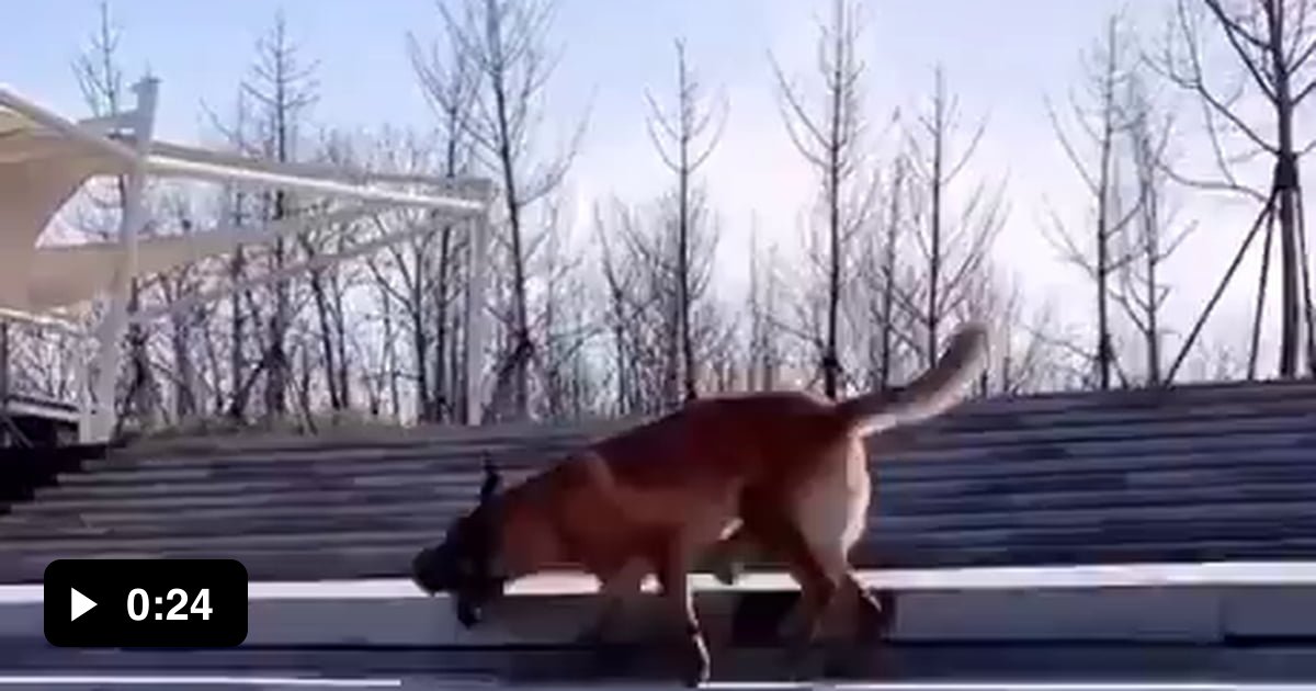 Extreme games - 9GAG
