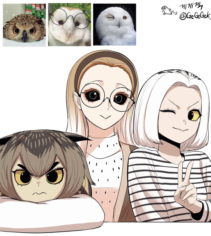 Three owls - 9GAG