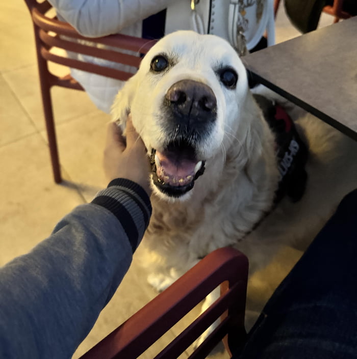 The goodest girl - 9GAG