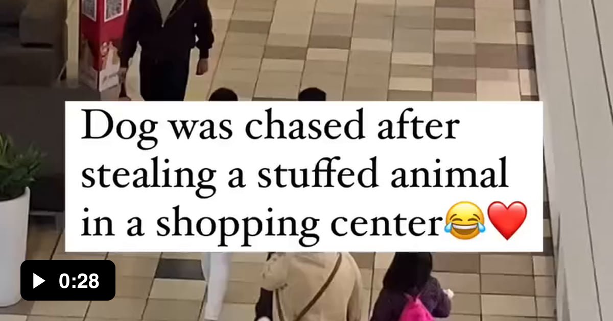 It's always them... - 9GAG