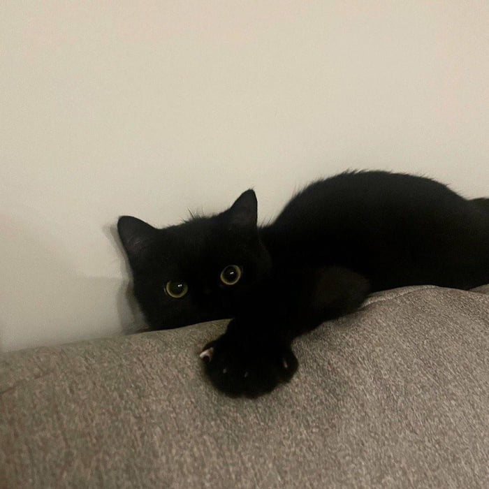 Keep this claw to yourself!!🥹 - 9GAG