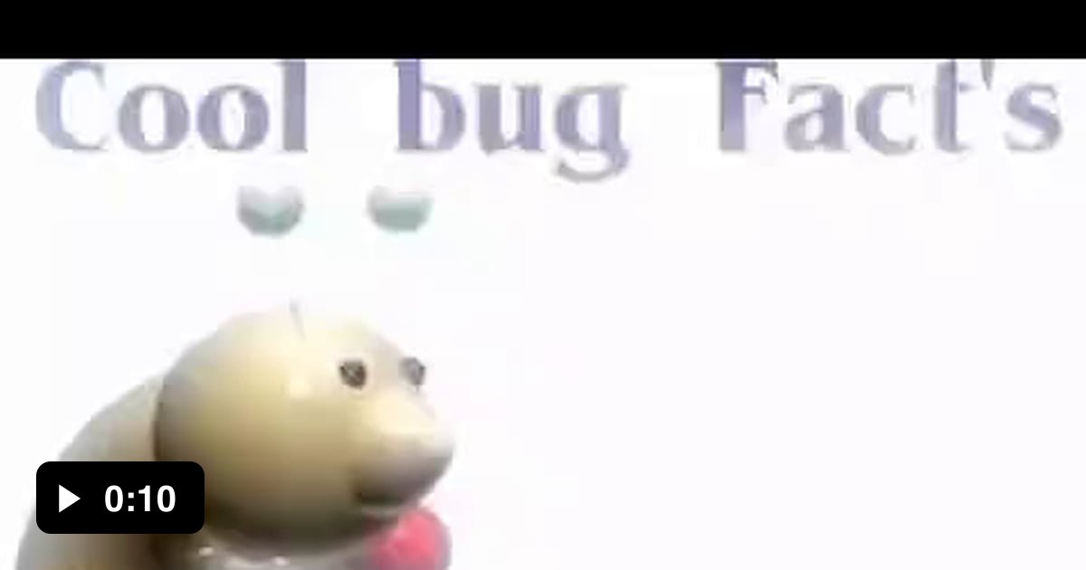 Cool bug fact's - 9GAG