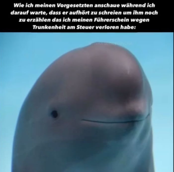 Einer von uns - 9GAG