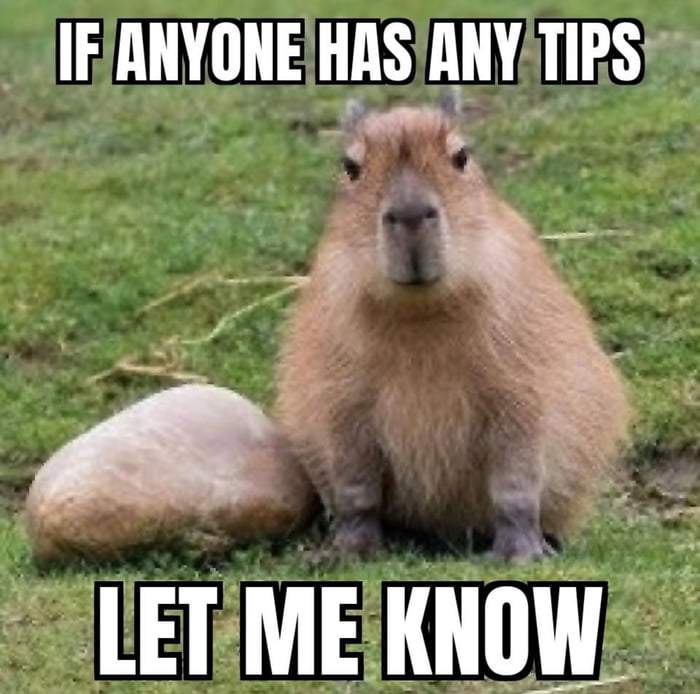 Collecting wisdom. Any good advice in general, tips or hacks? - 9GAG