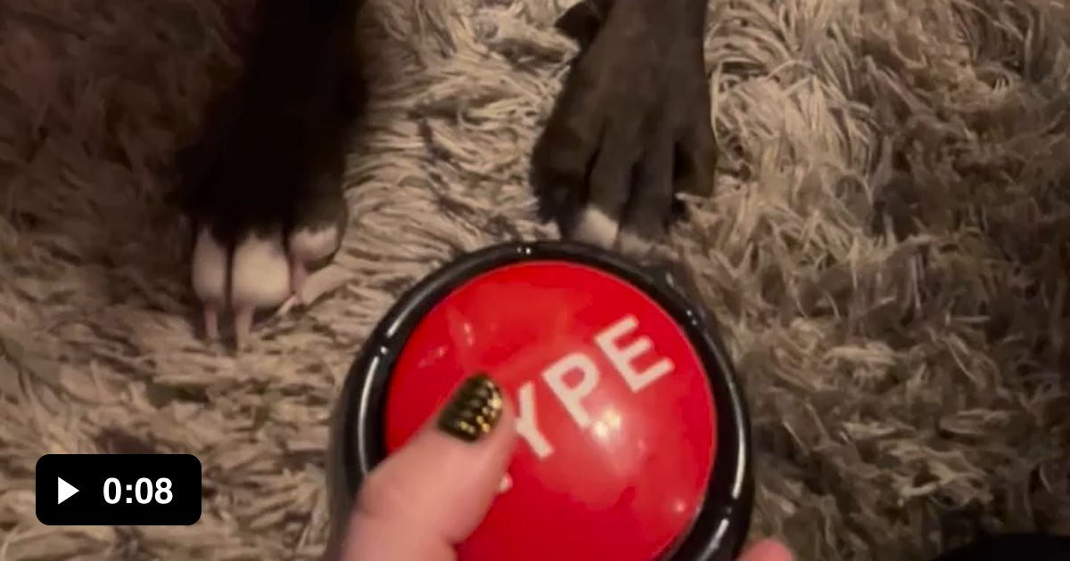 Boxer vs hype button - 9GAG