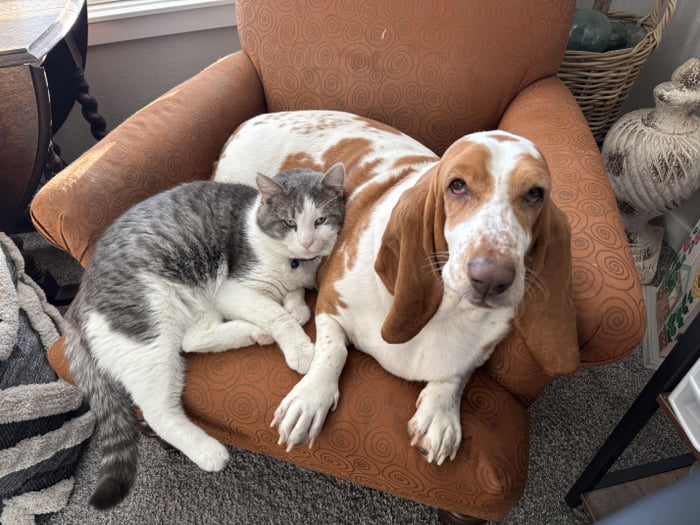 Emmet and Abigail are great friends. - 9GAG