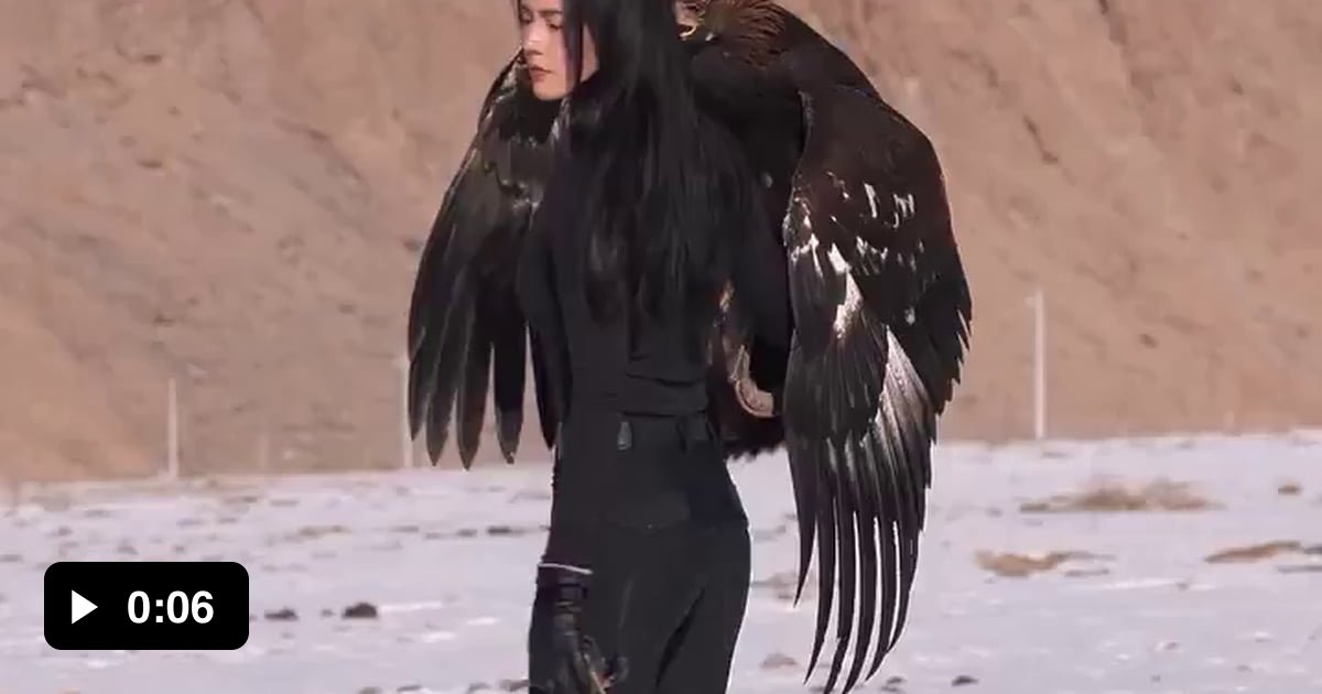Size comparison of an Golden Eagle vs human - 9GAG