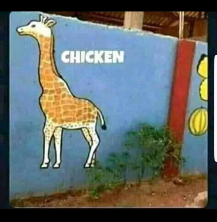 Where can i buy such a chicken? - 9GAG
