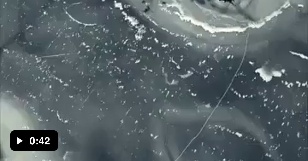 Artist David Popa creating art on ice using dissolved charcoal and soil ...
