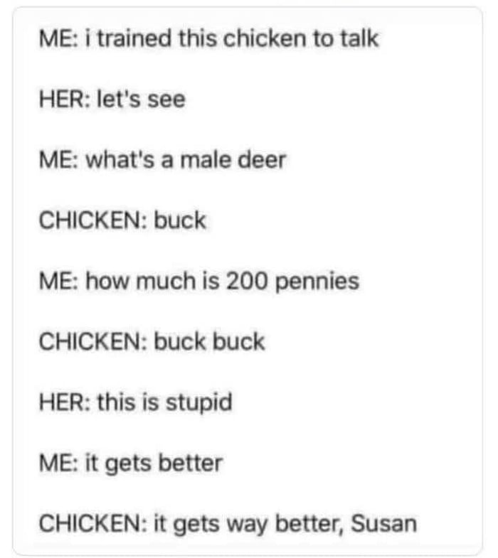 Everyone likes a intelligent chicken - 9GAG