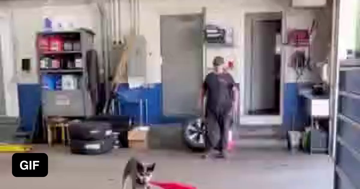 What a talented boi... 10/10 - 9GAG