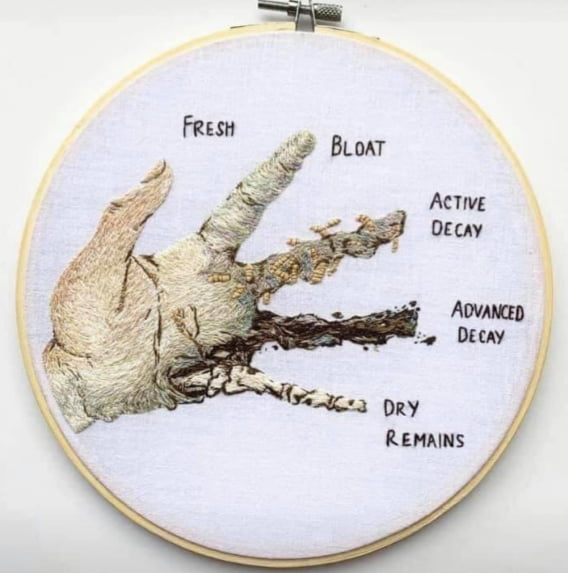 A cool guide smol guide. How human flesh decomposes - 9GAG