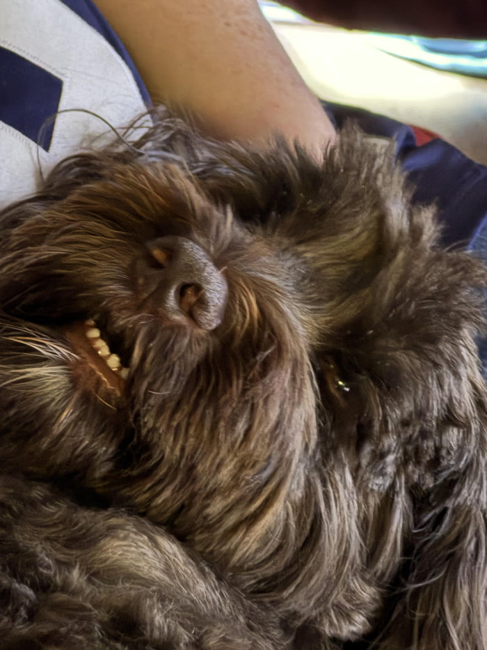 Ritter looks like he took something - 9GAG