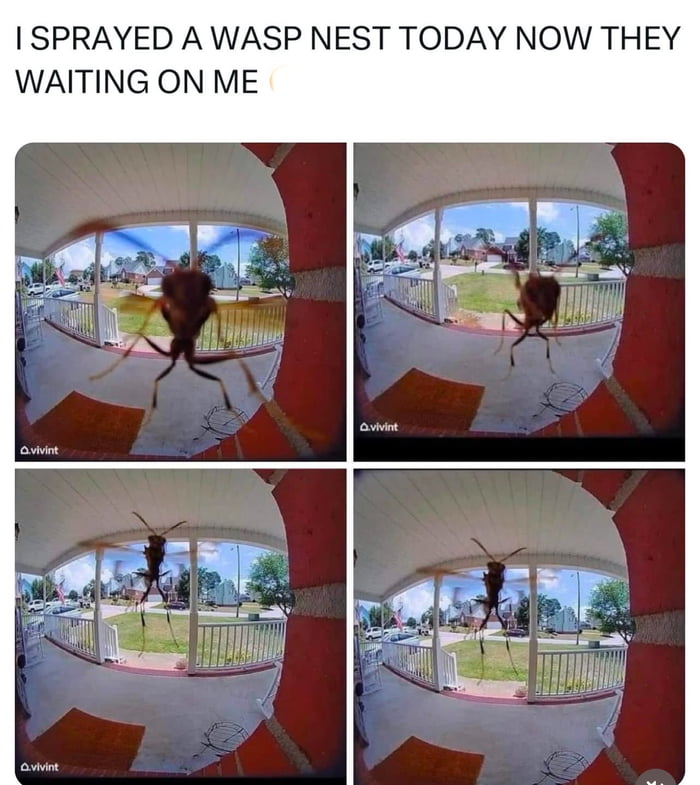 F**k it, I’ll work remote now - 9GAG