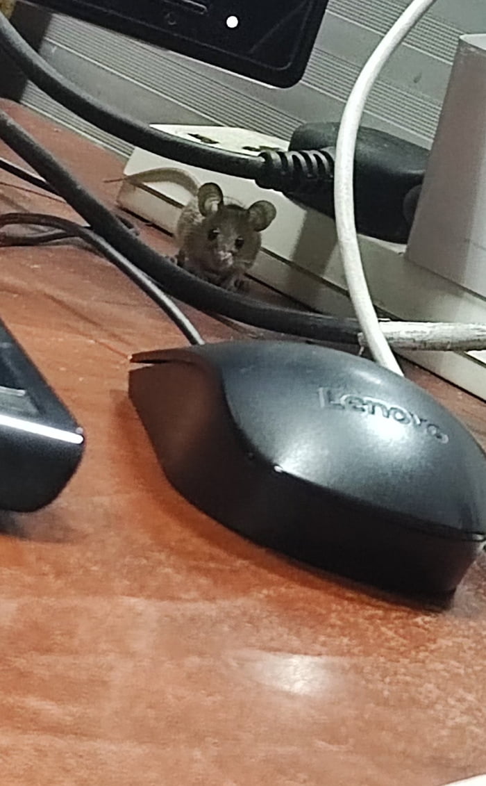 Look what they made to mimic a fraction of my power - 9GAG