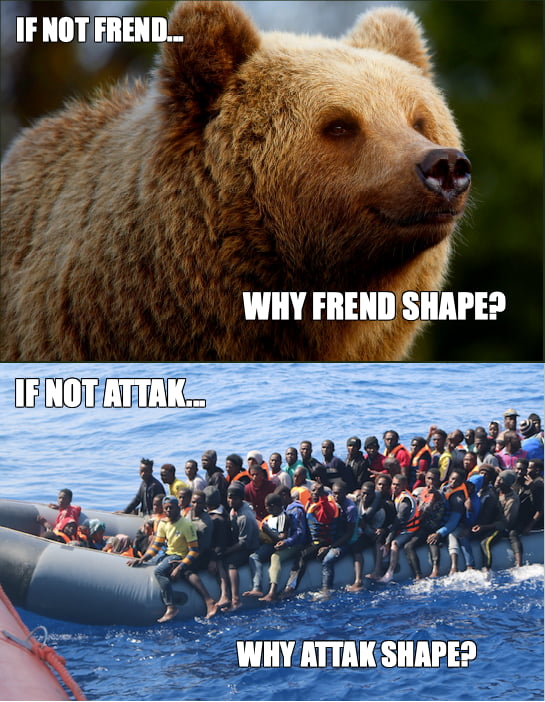 IF NOT THIS, WHY THAT? (FRESH OC MEME FOR YOU AND YOUR IMAGINARY ...