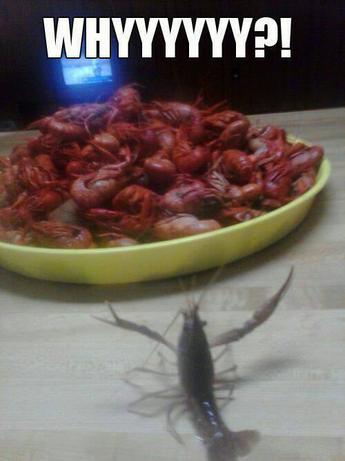 A title so witty it does..... - 9GAG