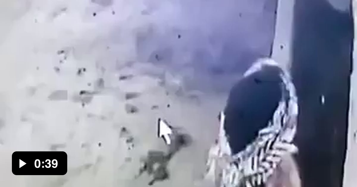 It's breeding time - 9GAG