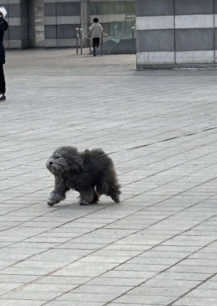 Wind can’t stop him. - 9GAG