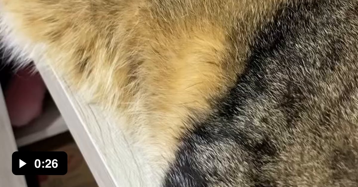 Please keep it muted - 9GAG