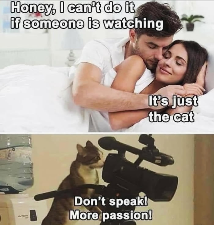 Now bite the back of her neck - 9GAG