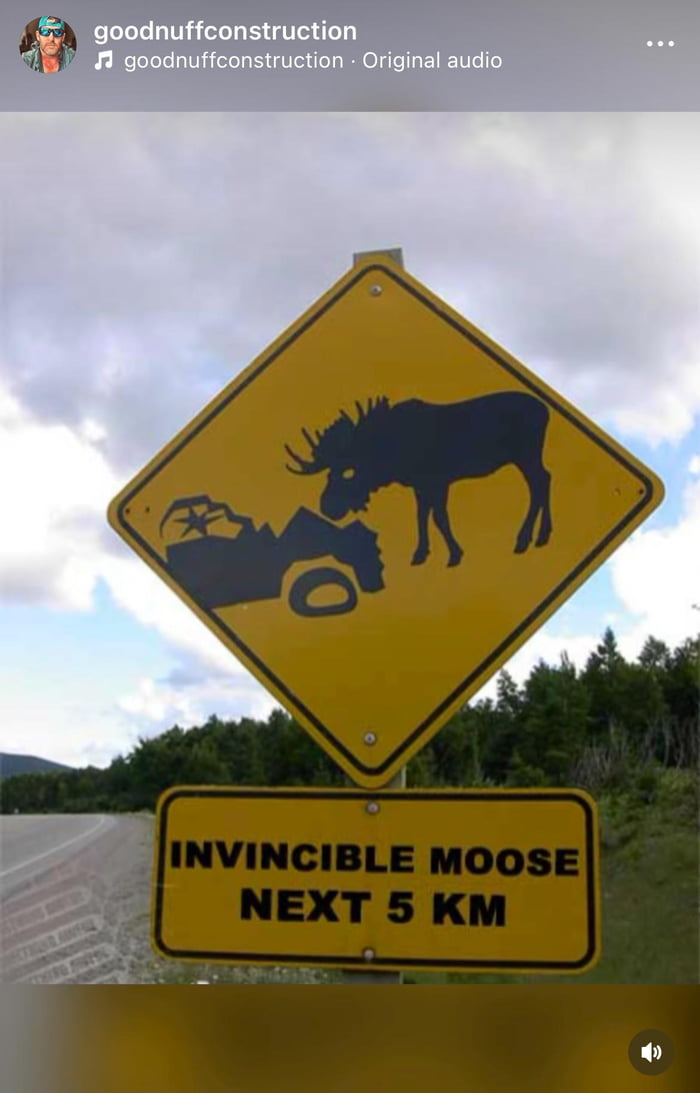 INVINCIBLE MOOSE!! (Credit to Goodnuff Construction for finding this ...