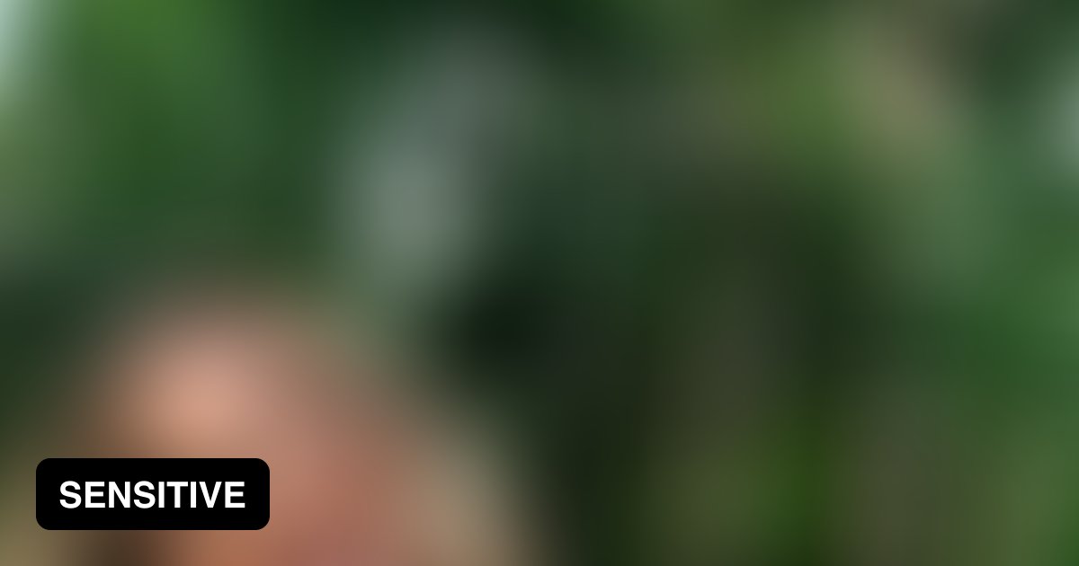 Mountains and forest - 9GAG