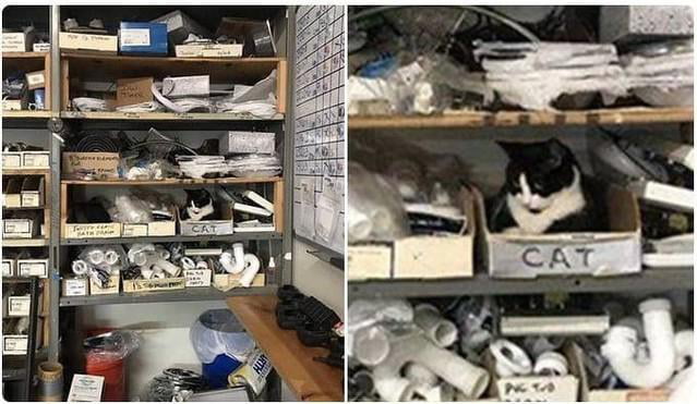 Well organised workshop shelves - 9GAG