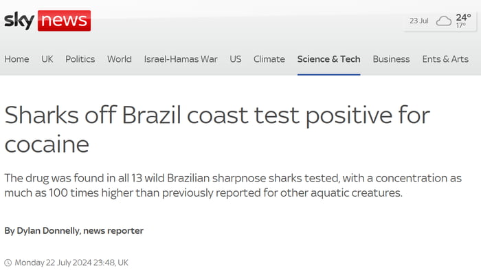 Brazil is not for beginners - 9GAG