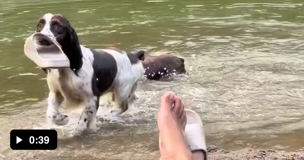 I’ve said throw it! - 9GAG